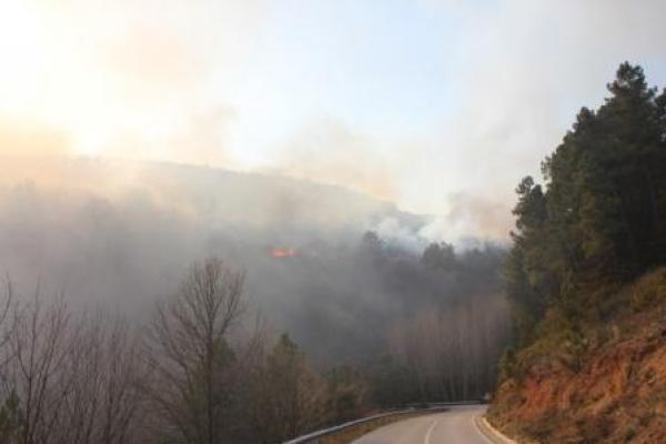Incêndio no Douro Internacional chegou a ter duas frentes ativas ...